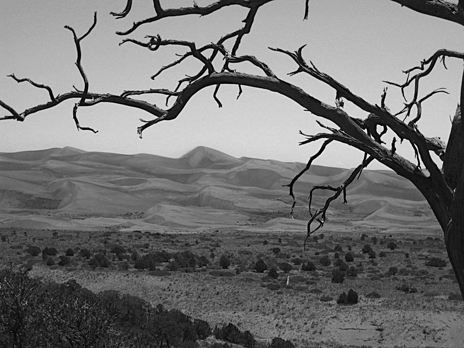 The Great Sand Dunes National Park as viewed from mine above Sand Ramp ...